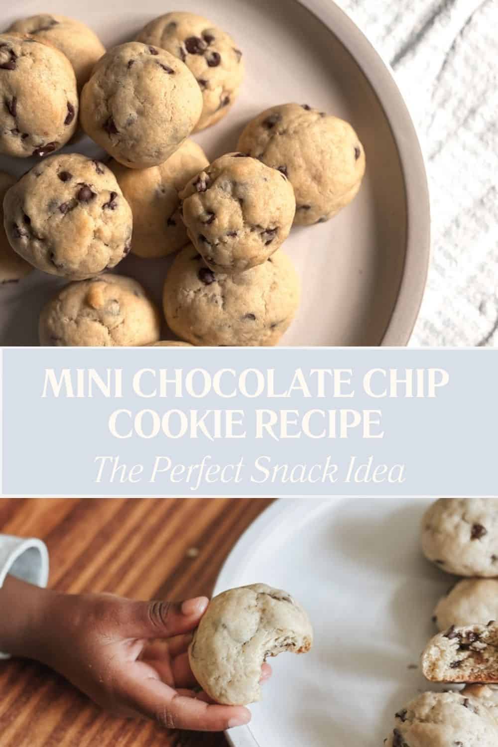 Chocolate Chip Cookie Bites (Mini Freezer Cookies) - Chasing Our Simple