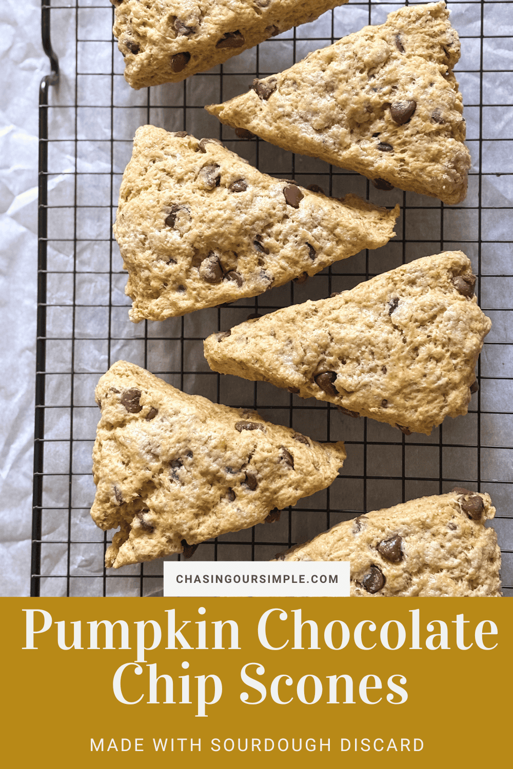 Sourdough Pumpkin Scones with Chocolate Chips - Chasing Our Simple